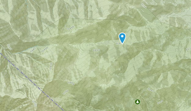 Best Trails in Boundary Peak Wilderness - Nevada | AllTrails