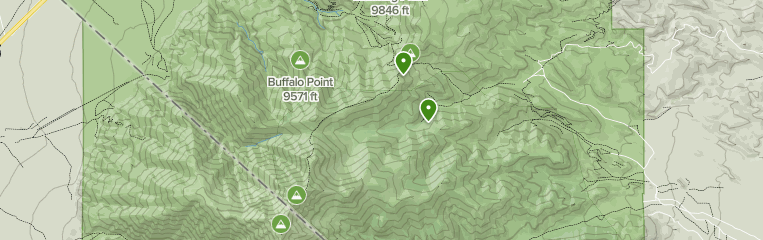 Best Hikes and Trails in Boundary Peak Wilderness | AllTrails