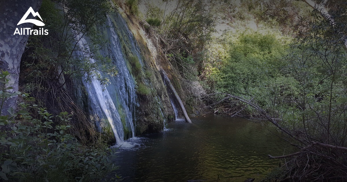 10 Best hikes and trails in Santa Lucia Wilderness | AllTrails