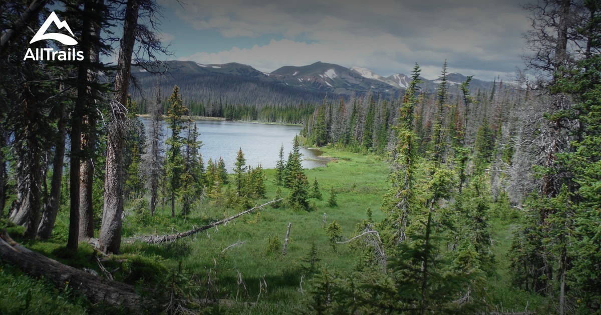 Best Trails in Neota Wilderness - Colorado | AllTrails