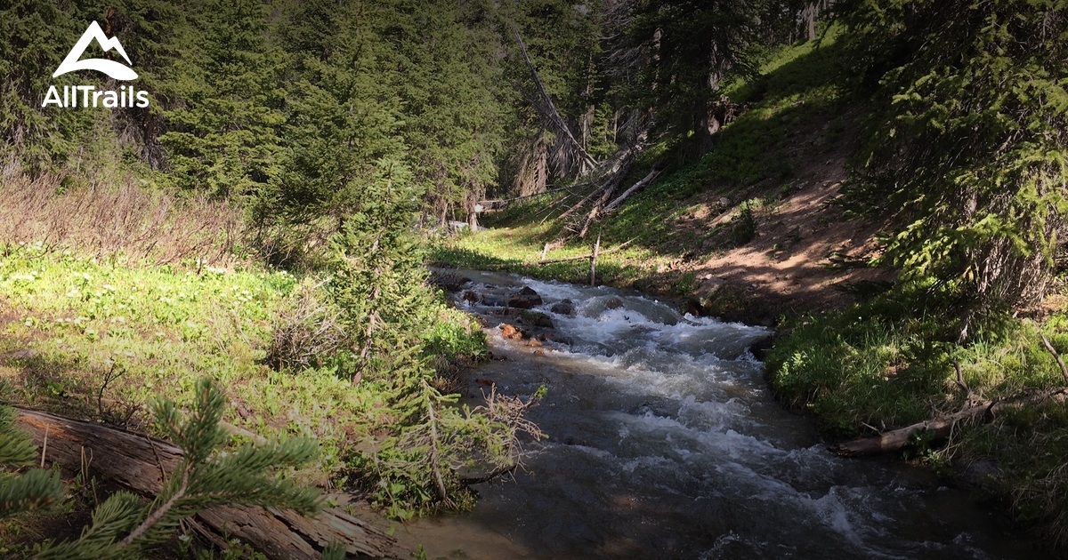 Best hikes and trails in Neota Wilderness | AllTrails