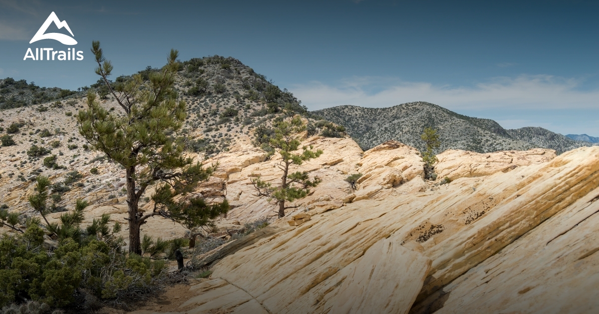 Los mejores senderos para hacer escalada en Rainbow Mountain Wilderness ...