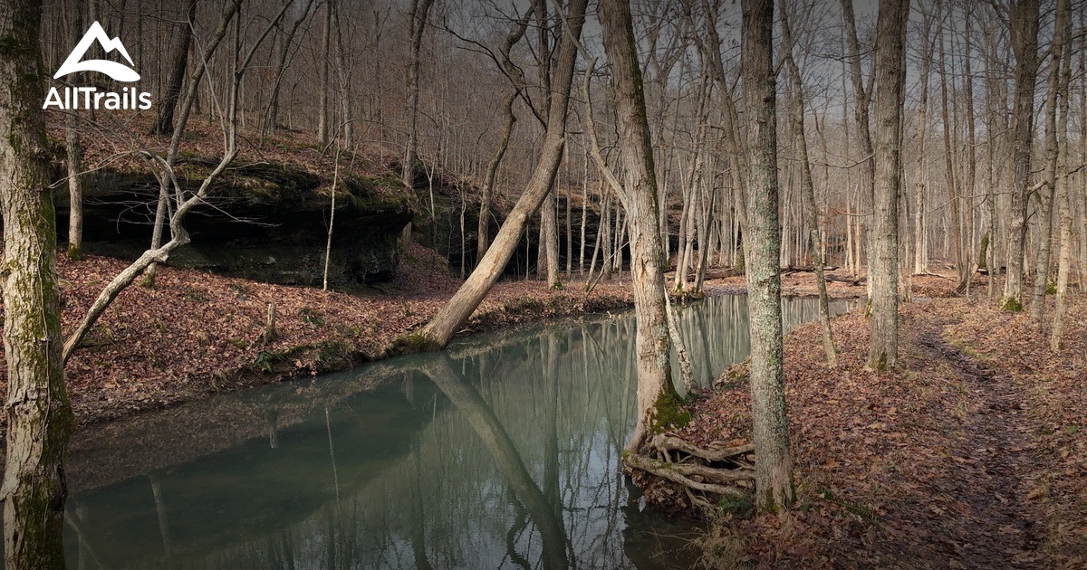 Best hikes and trails in Panther Den Wilderness | AllTrails