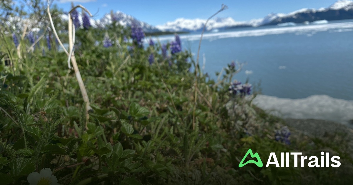 Best hikes and trails in Russell Fjord Wilderness | AllTrails