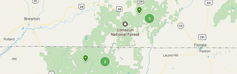 Best Hikes and Trails in Conecuh National Forest | AllTrails