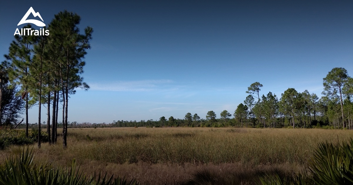 Best Trails in Ocala National Forest - Florida | AllTrails