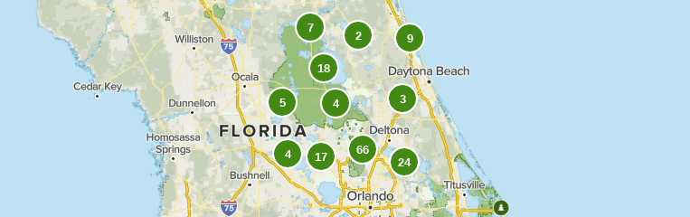 Best Trails in Ocala National Forest - Florida | AllTrails
