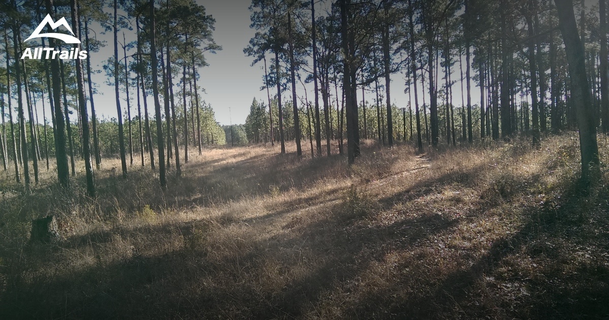 Best Trails in Kisatchie National Forest | AllTrails.com