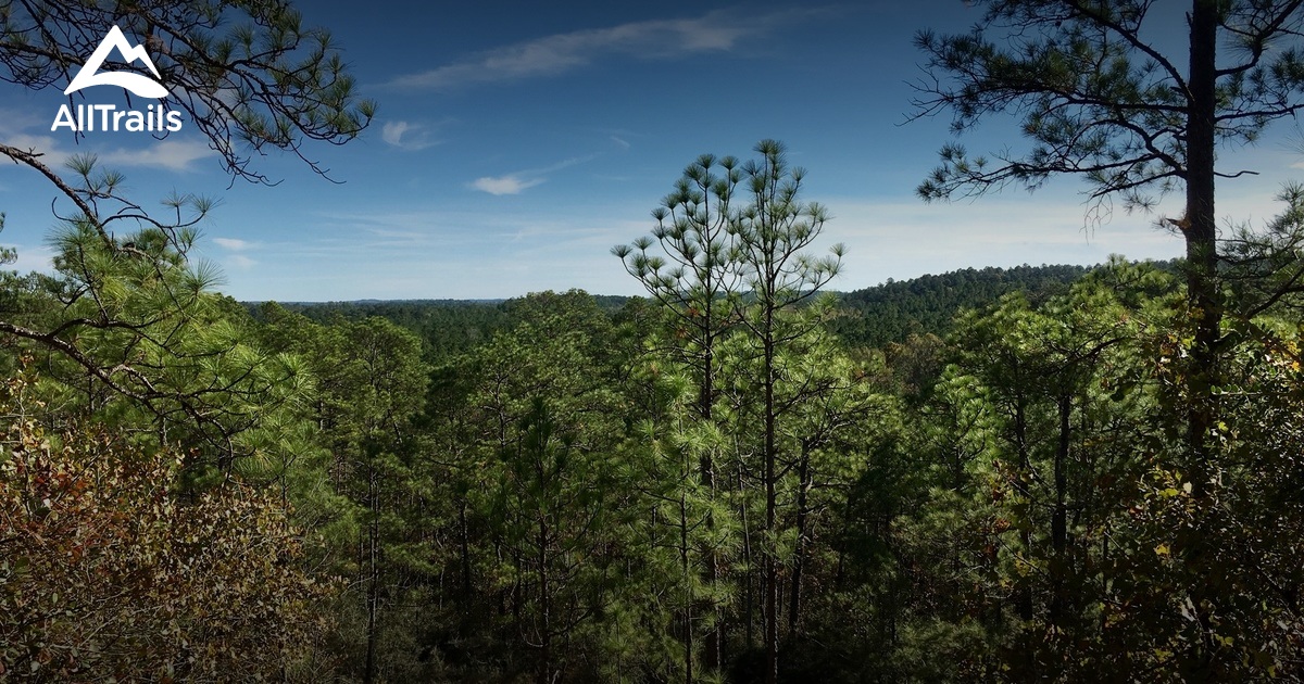 Best Trails in Kisatchie National Forest - Louisiana | AllTrails