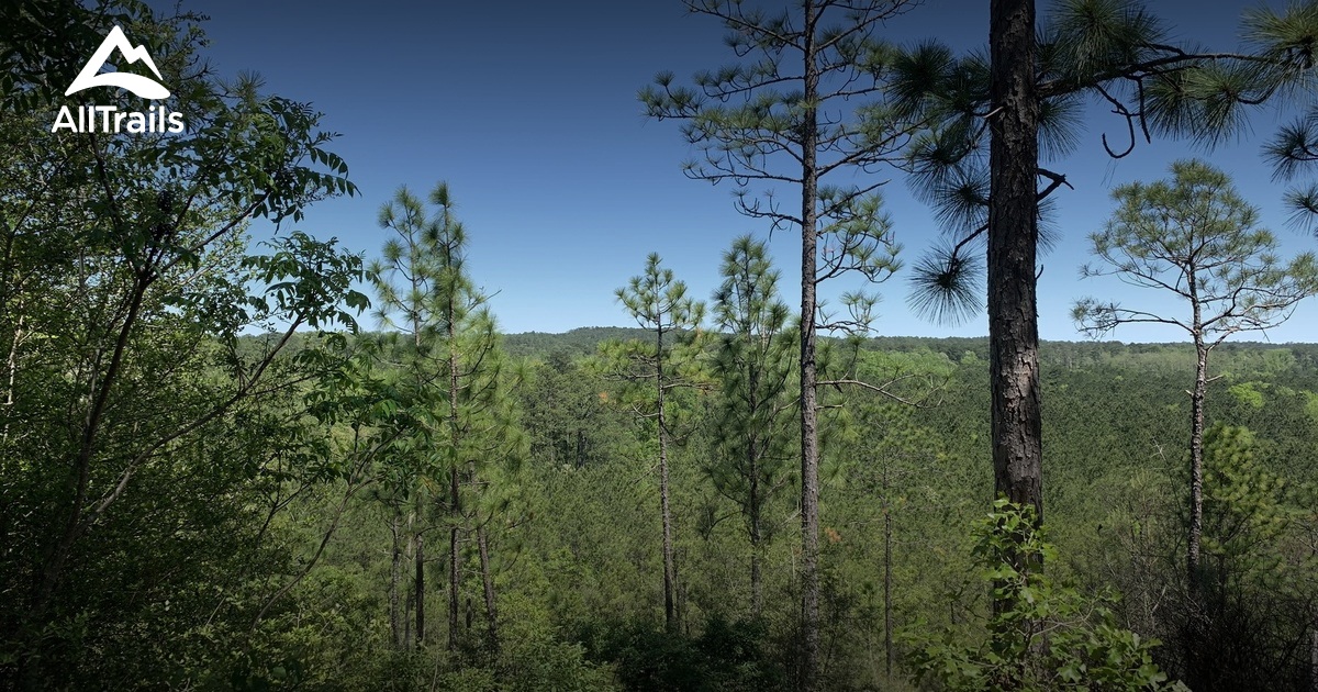 Best trails in Kisatchie National Forest, Louisiana | AllTrails