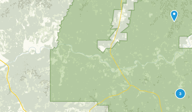 Best Trails in Homochitto National Forest - Mississippi | AllTrails