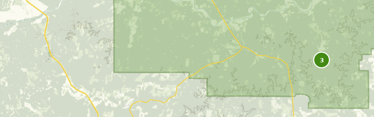 Best Trails in Homochitto National Forest - Mississippi | AllTrails