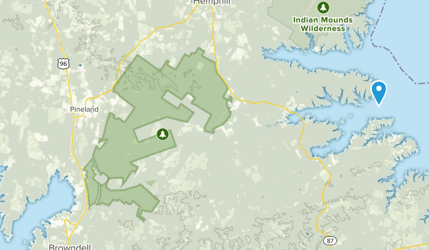 Best Trails in Sabine National Forest - Texas | AllTrails