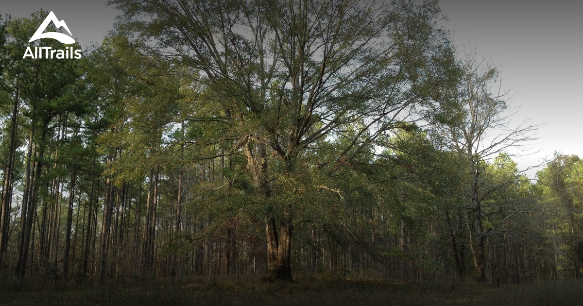 Best Trails in Sabine National Forest - Texas | AllTrails