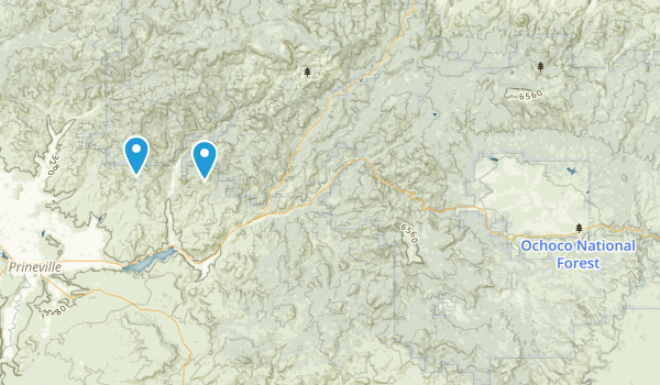 Best Trails in Ochoco National Forest - Oregon | AllTrails