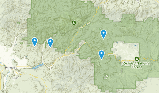 Best Trails in Ochoco National Forest - Oregon | AllTrails