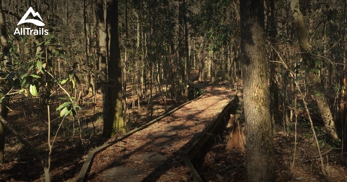 Best Trails in Tuskegee National Forest - Alabama | AllTrails