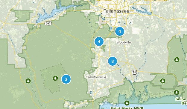 Best Trails in Apalachicola National Forest - Florida | AllTrails