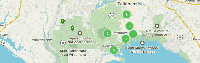 Bedste 10 vandreture og ruter i Apalachicola National Forest | AllTrails
