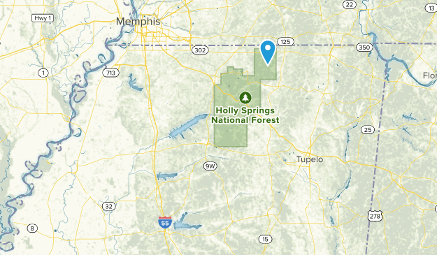 Best Trails in Holly Springs National Forest - Mississippi | AllTrails