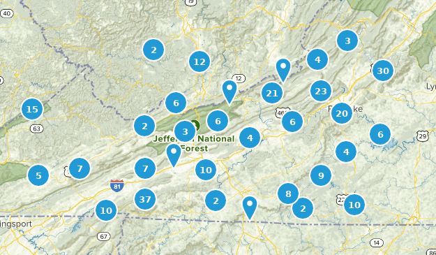 Best Trails in Jefferson National Forest - Virginia | AllTrails