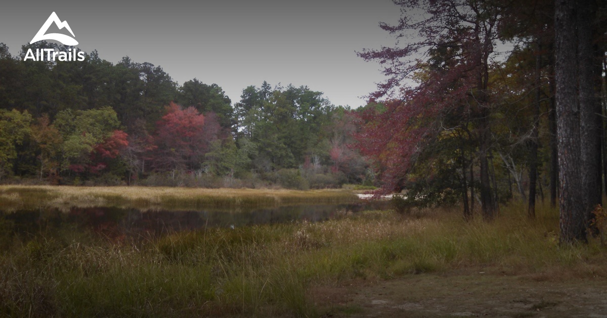 Best Trails in Angelina National Forest - Texas | AllTrails