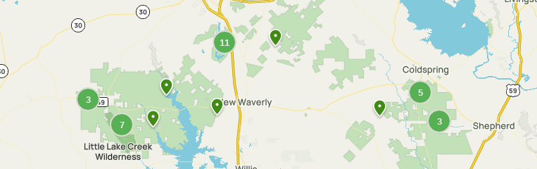 Best 10 Hikes and Trails in Sam Houston National Forest | AllTrails