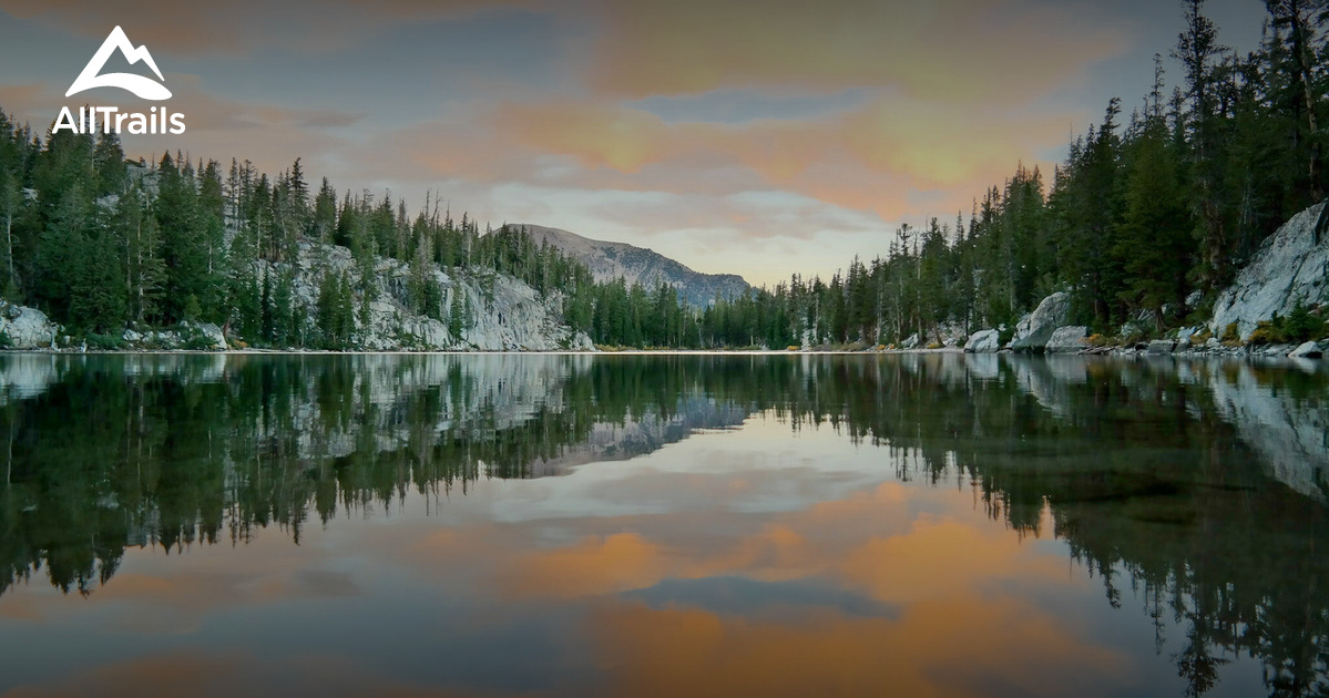 Best Trails in Inyo National Forest - California | AllTrails