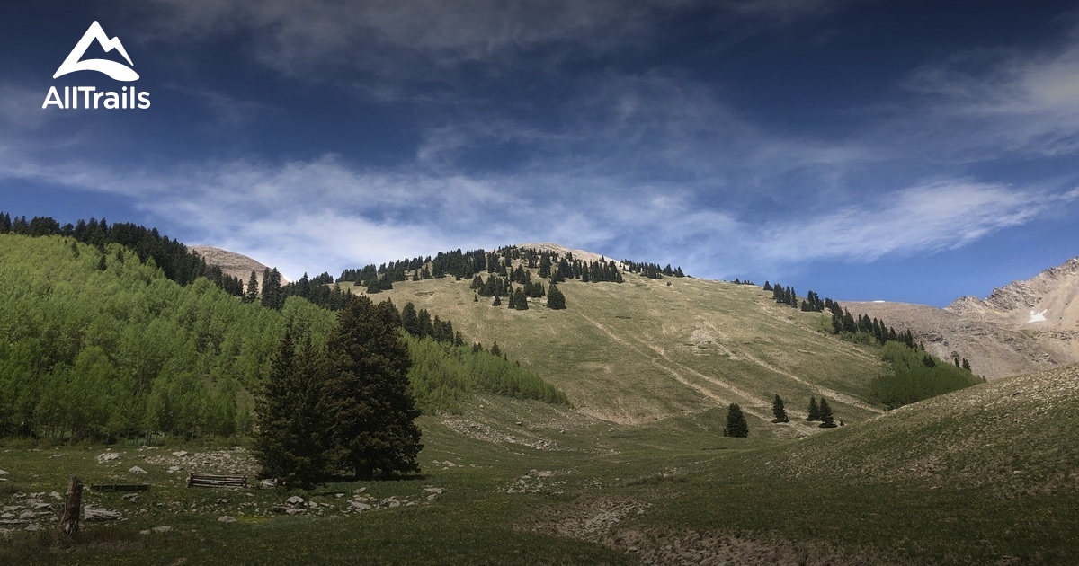 Best Trails in Manti-La Sal National Forest - Utah | AllTrails