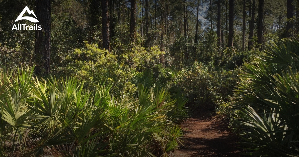 Best Trails in Fort Caroline National Memorial - Florida | AllTrails