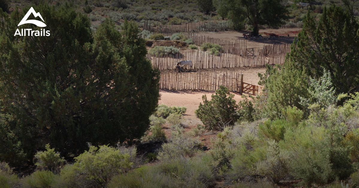 Best hikes and trails in Pipe Spring National Monument | AllTrails