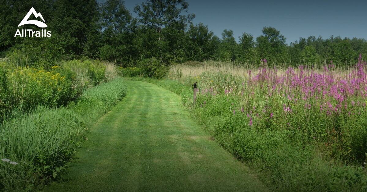 Best hikes and trails in Great Swamp Conservancy | AllTrails