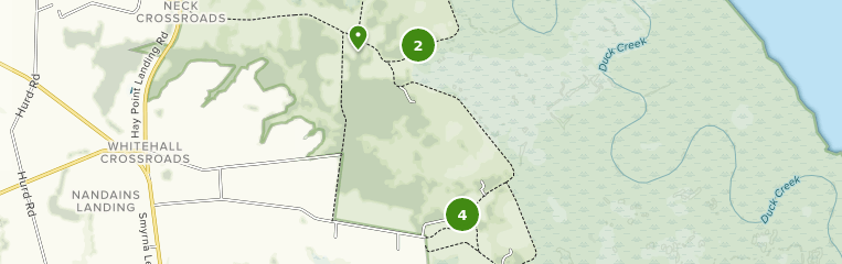 Best Trails in Bombay Hook National Wildlife Refuge - Delaware | AllTrails