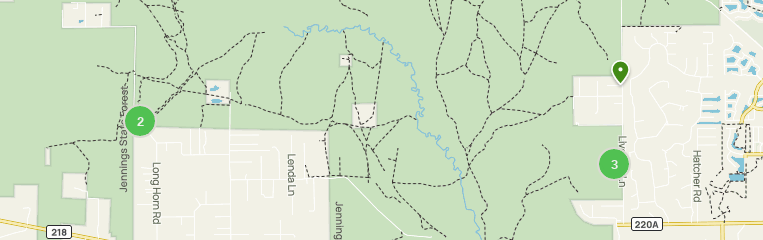 Best Hikes and Trails in Jennings State Forest | AllTrails