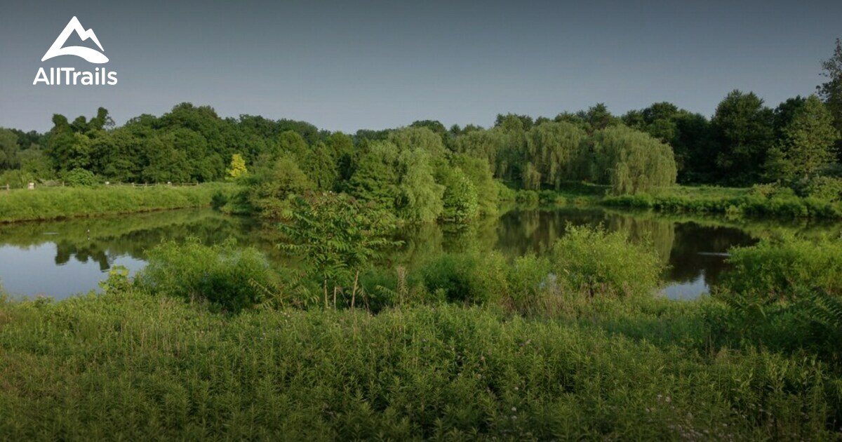 Best hikes and trails in Wilson Park | AllTrails