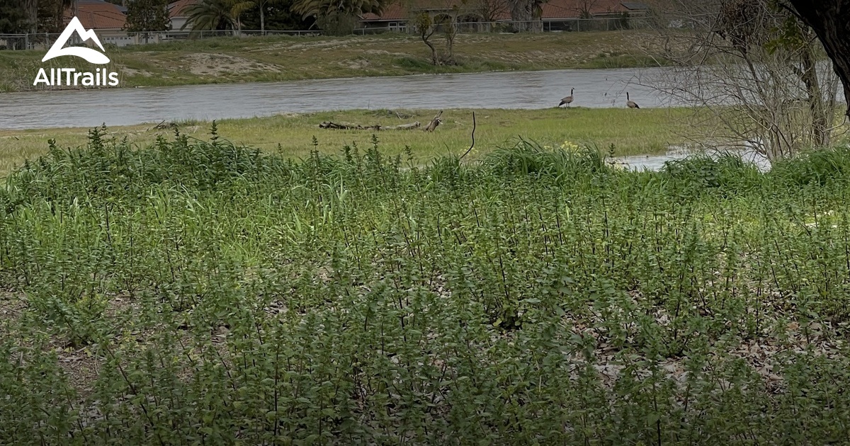 Best hikes and trails in Rotary Park | AllTrails