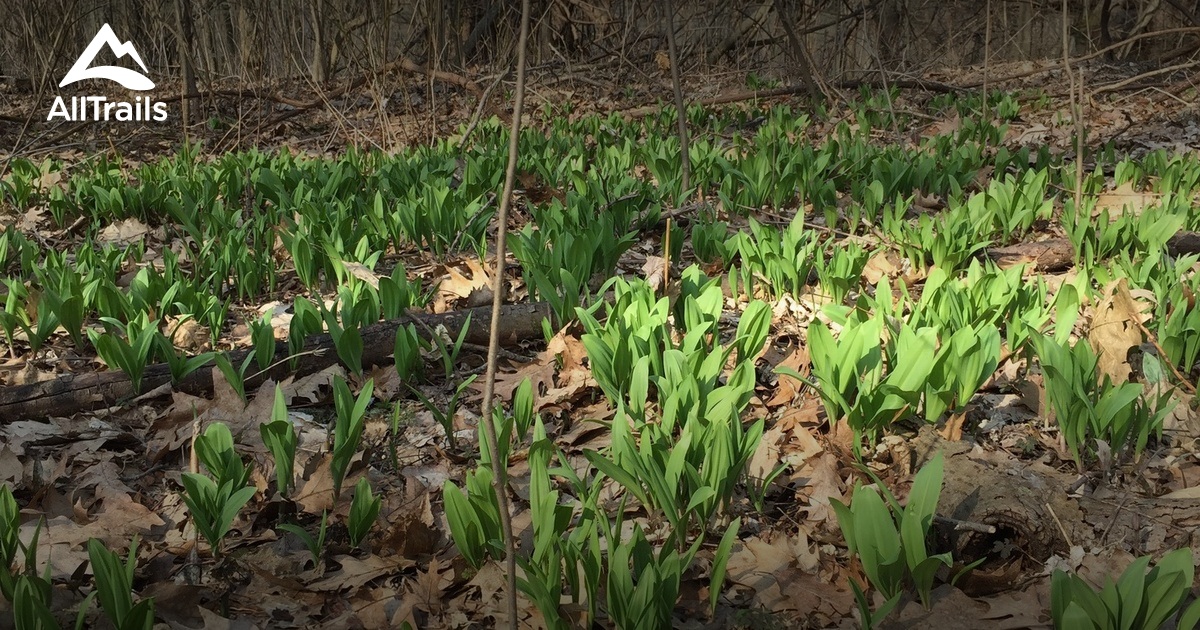 Best hikes and trails in Riverview Park | AllTrails