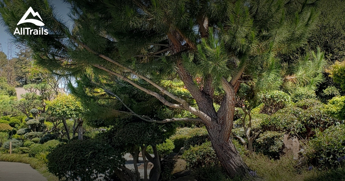 Best hikes and trails in De Anza Park | AllTrails