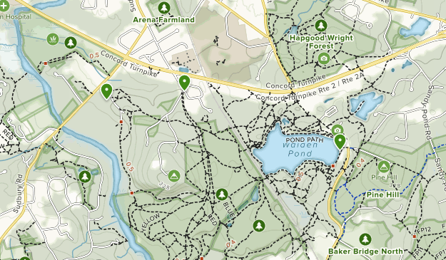 Best Trails in Wright Woods - Massachusetts | AllTrails