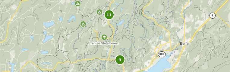 Best Trails in Tahuya State Forest - Washington | AllTrails