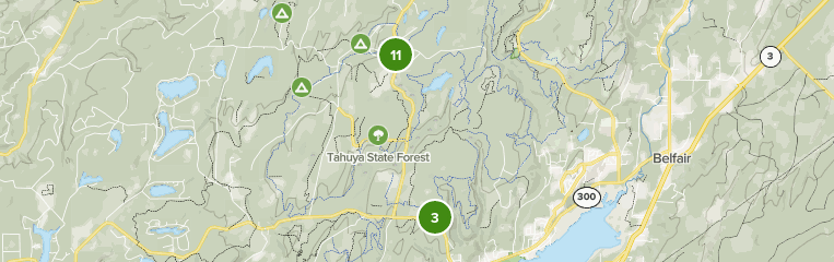 Best trails in Tahuya State Forest, Washington | AllTrails