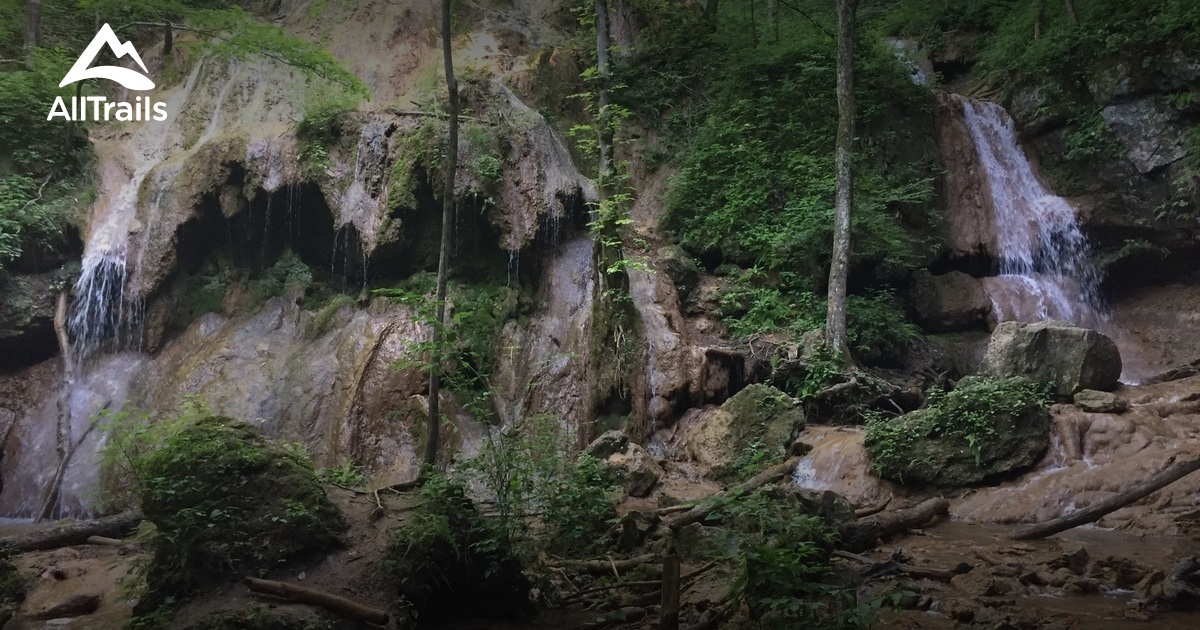 Best Trails in Falls Ridge Nature Preserve - Virginia | AllTrails