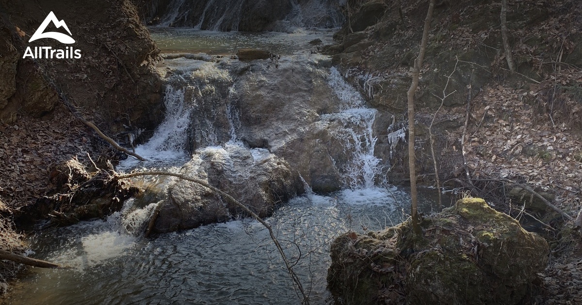 Best hikes and trails in Falls Ridge Nature Preserve | AllTrails