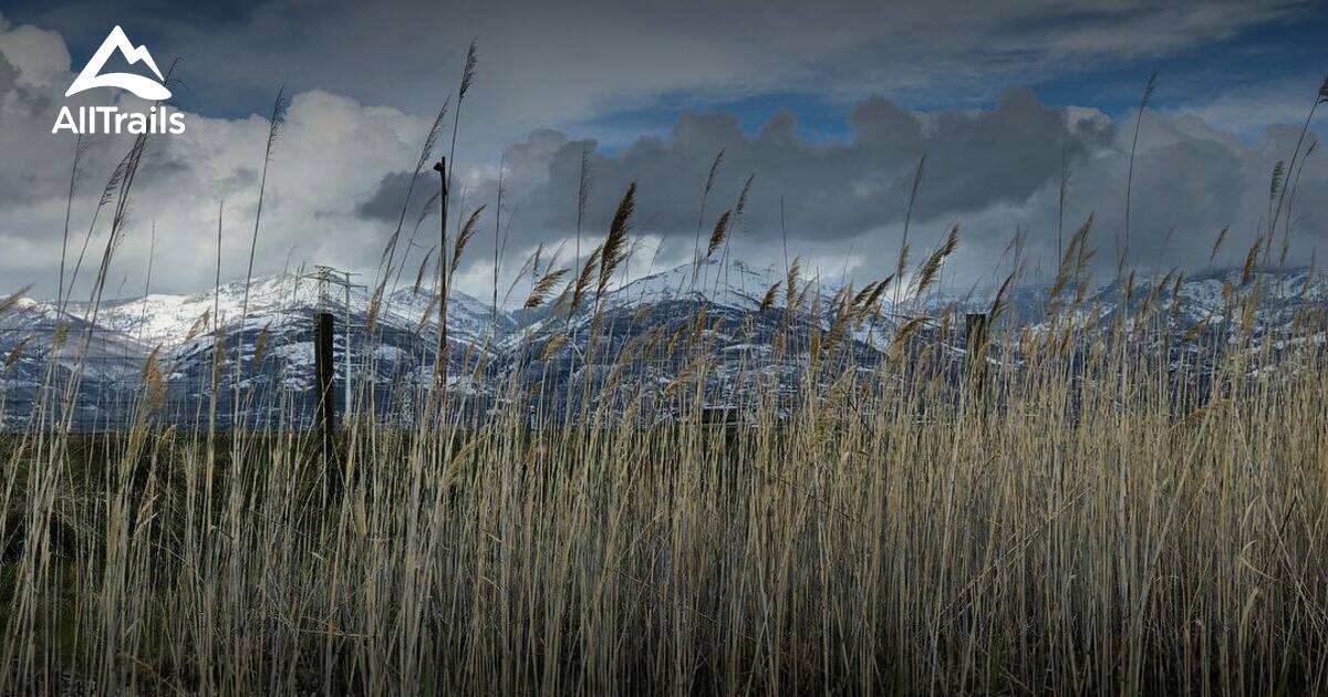 Best hikes and trails in Legacy Nature Reserve | AllTrails