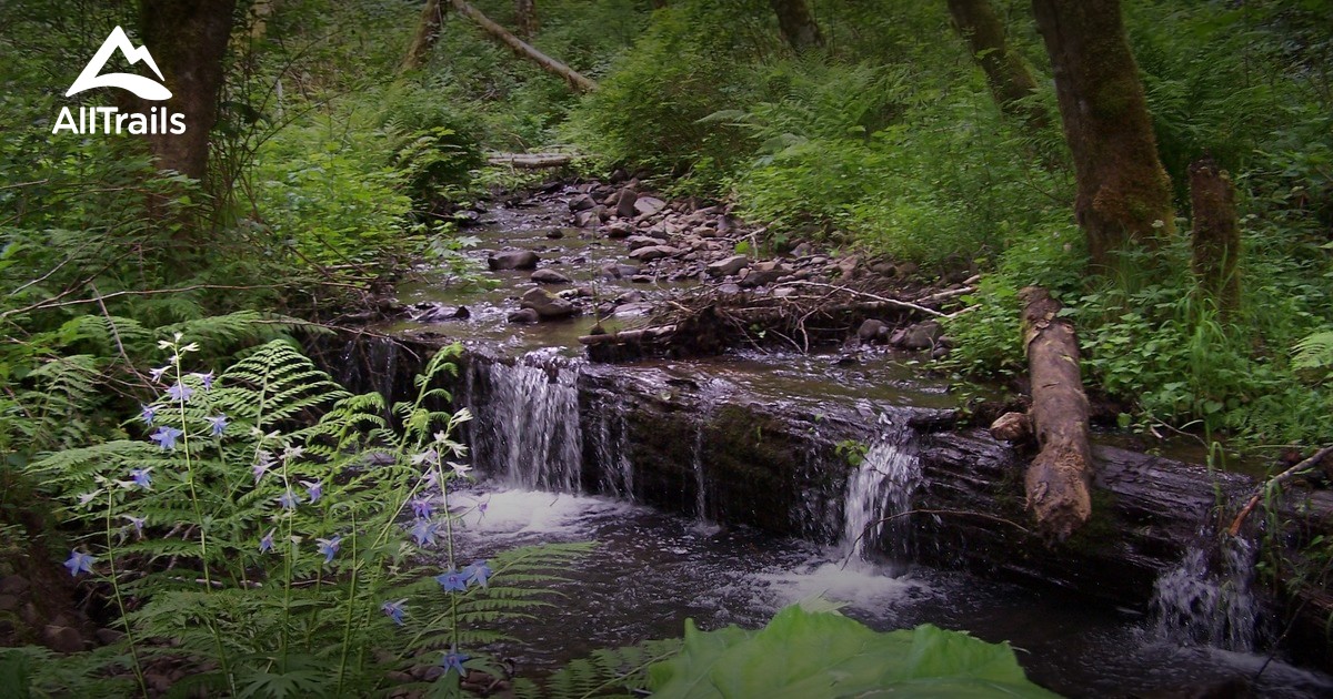 Best Trails in Beazell Forest Park - Oregon | AllTrails