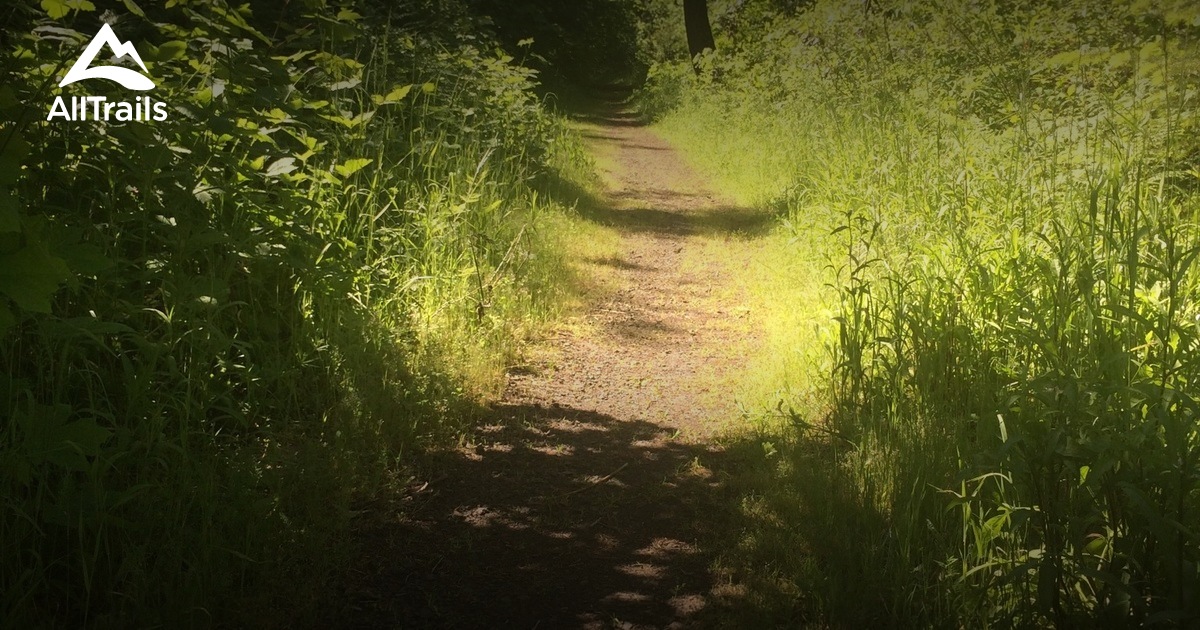 Best Trails in Dunn State Forest - Oregon | AllTrails