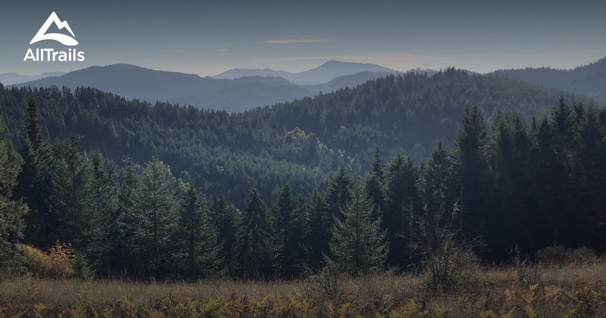 Best forest trails in Dunn Research Forest | AllTrails