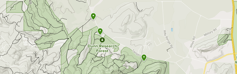 Best Trails in Dunn State Forest | AllTrails