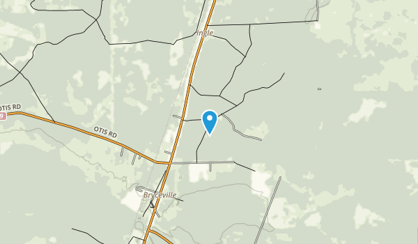 Best Trails in Cary State Forest - Florida | AllTrails