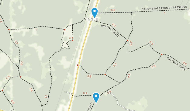 Best Trails in Cary State Forest - Florida | AllTrails